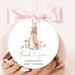 EDITABLE Peter Rabbit Favor Tag, Peter Rabbit Baby Shower Sticker ...