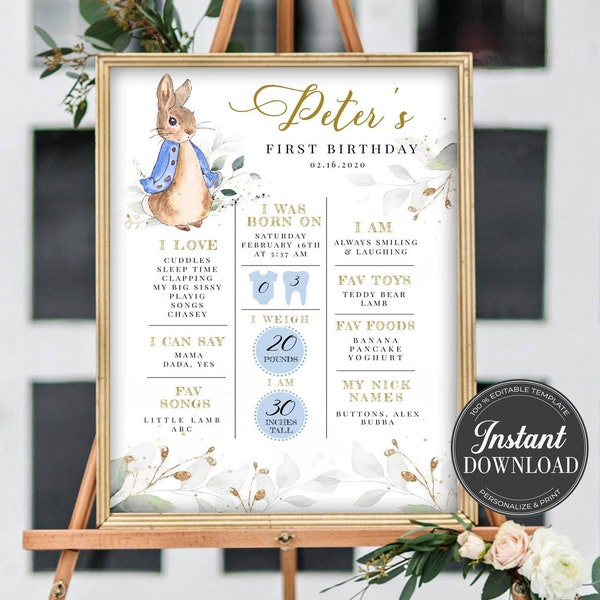 Peter Rabbit First Birthday - Etsy