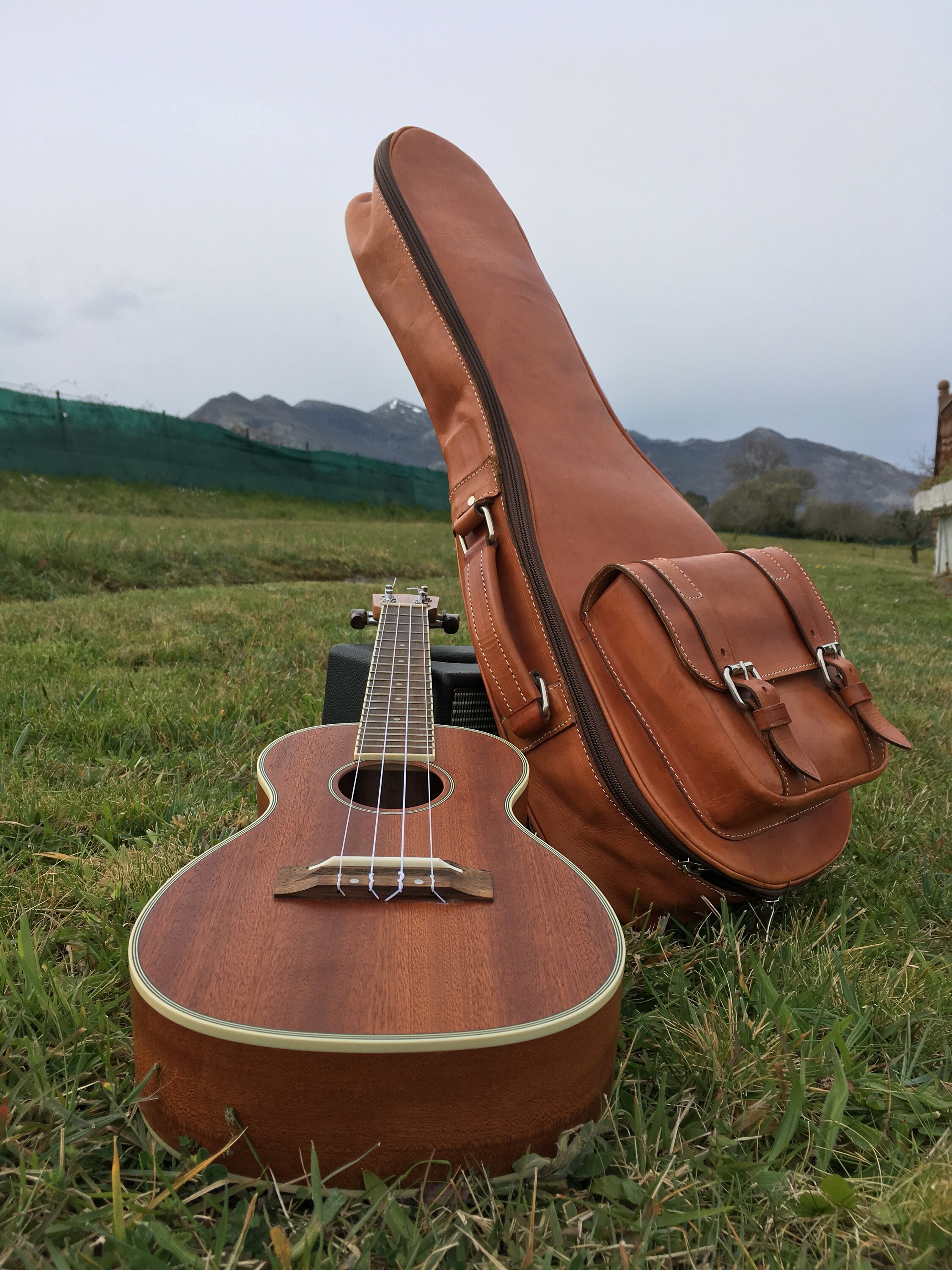 Distinctive and Luxurious Custom Made Ukulele Case - Your Music is ...