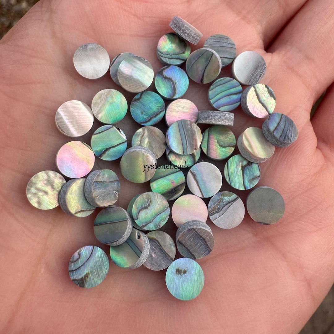 4mm 6mm Natural New Zealand Abalone Shell Double Flat Round Coin ...