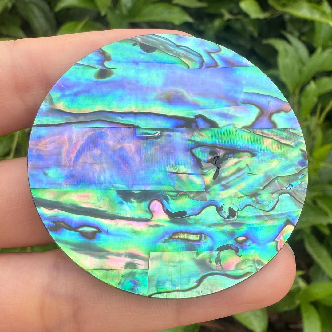 55mm Natural Abalone Shell Round Double Flat Cabochon No Hole Big Paua ...
