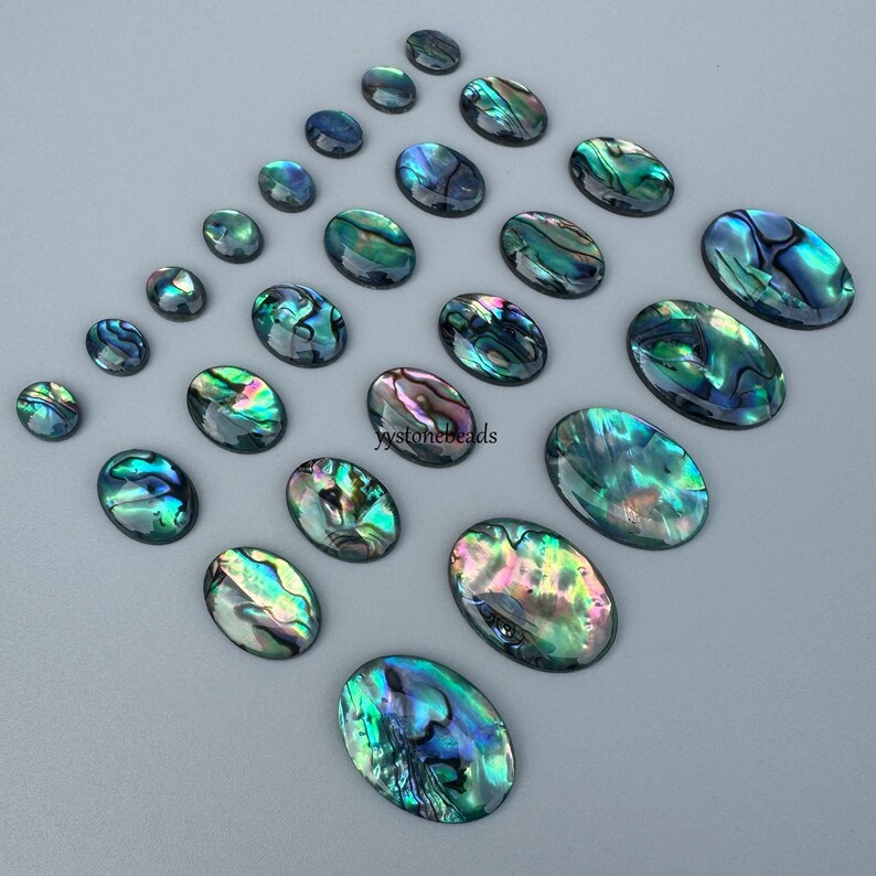 50pcs Natural Abalone Shell Calibrated Cabochons: Oval Flatback ...
