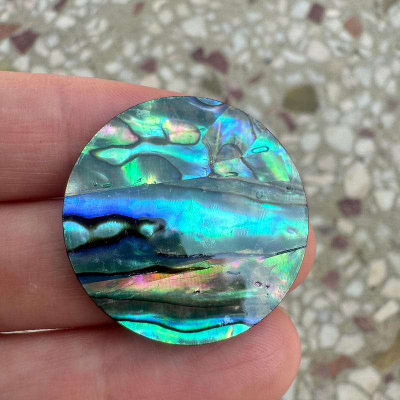 Abalone Buttons - Etsy