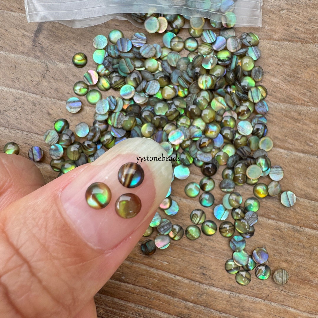 4mm Calibrated Abalone Shell Round Flatback Gemstone CAB Small Cabochon ...