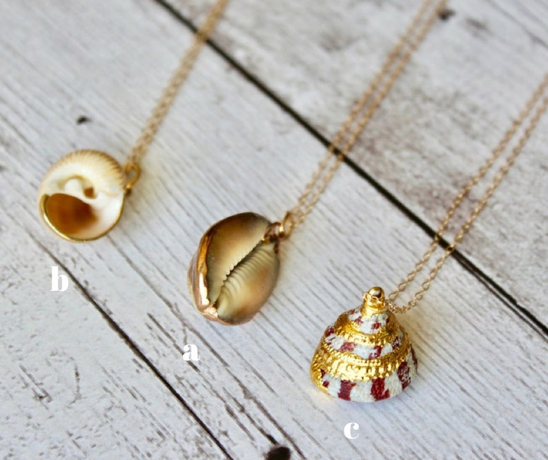 Real Shell in 24K Gold Necklace 14K Gold Filled Chain One of - Etsy