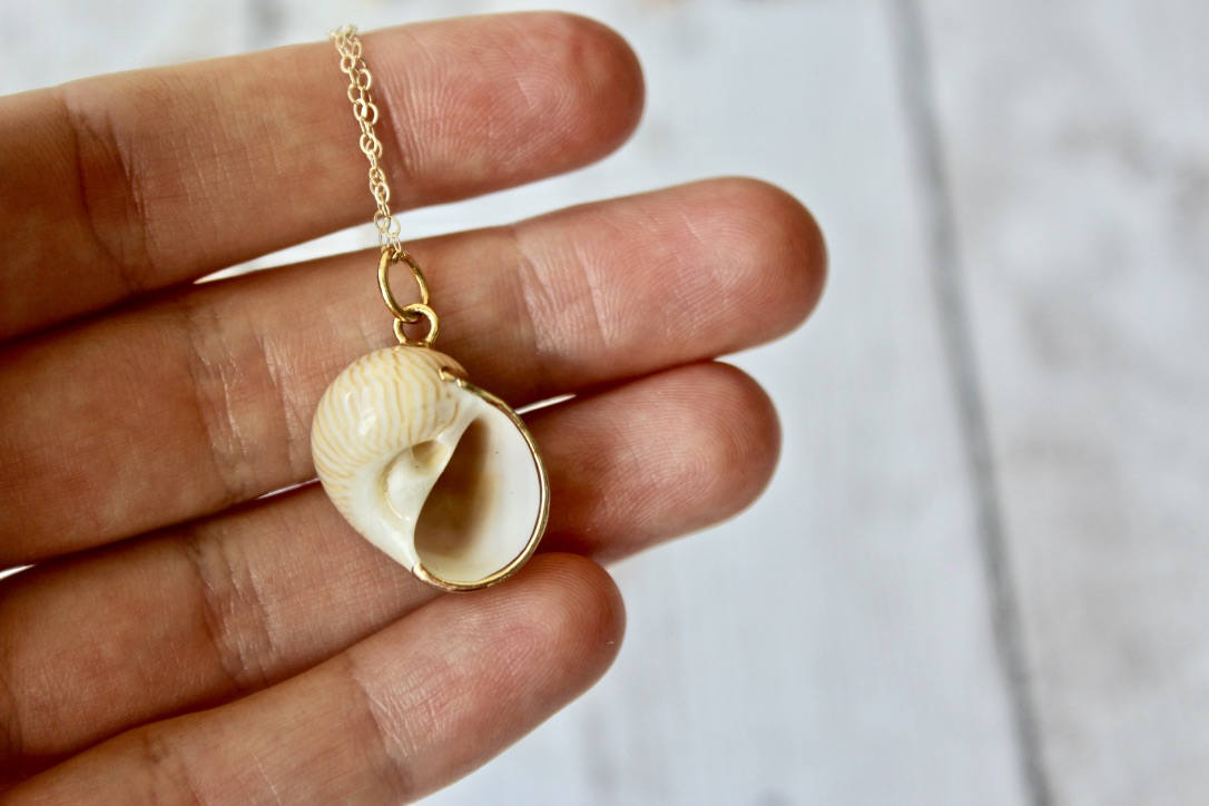 Real Shell in 24K Gold Necklace 14K Gold Filled Chain One of | Etsy