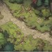 DND Battle Maps | Forest Bundle | Game Master | TTRPG | Printable and ...