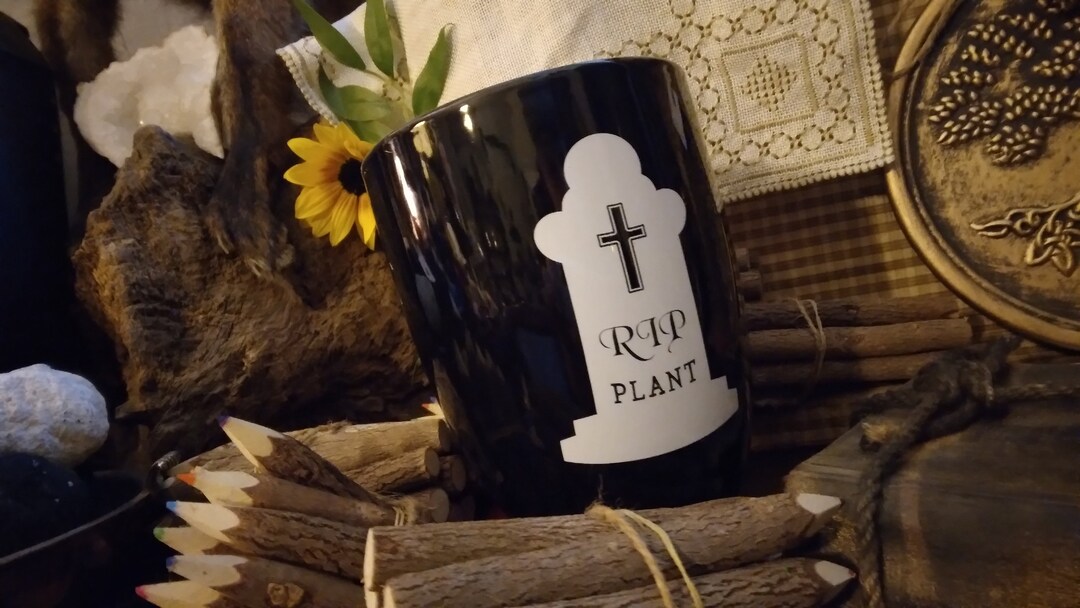 Ihategardening Gothic Garden Pot, Plant Jar, Addams Family Flowers ...
