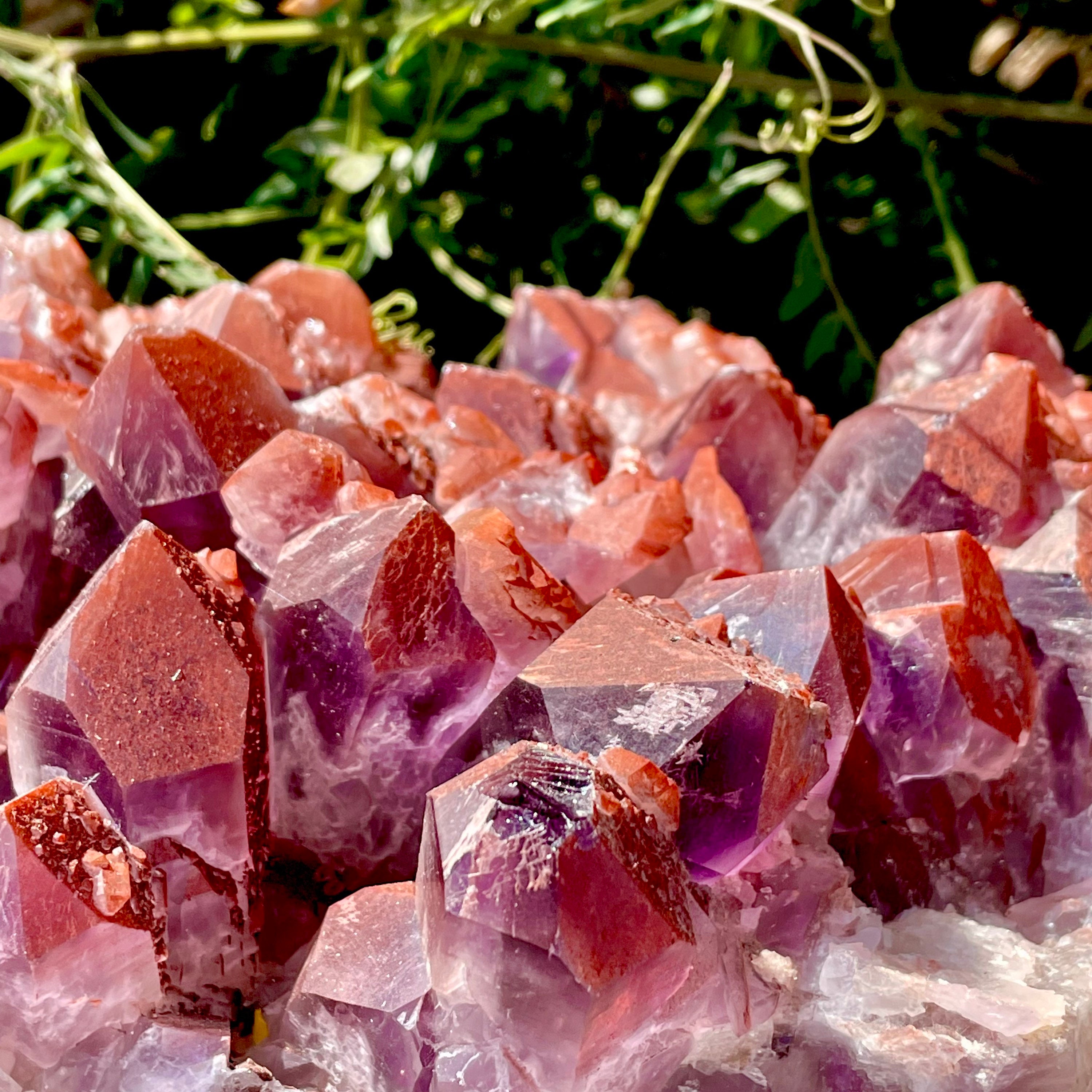 Huge Fire Amethyst Large Red Cap Amethyst Hematite Coated - Etsy