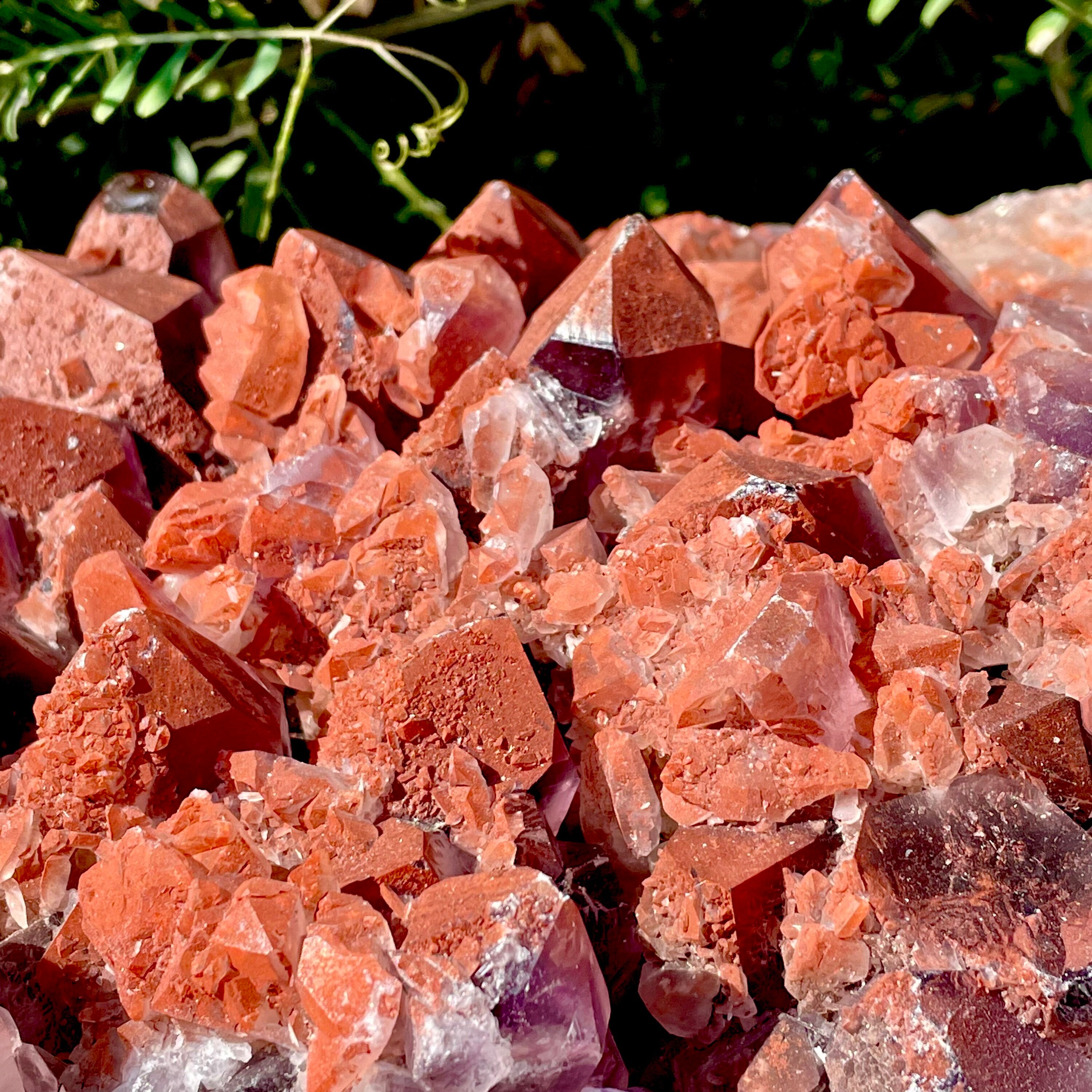 Huge Fire Amethyst Large Red Cap Amethyst Hematite Coated - Etsy