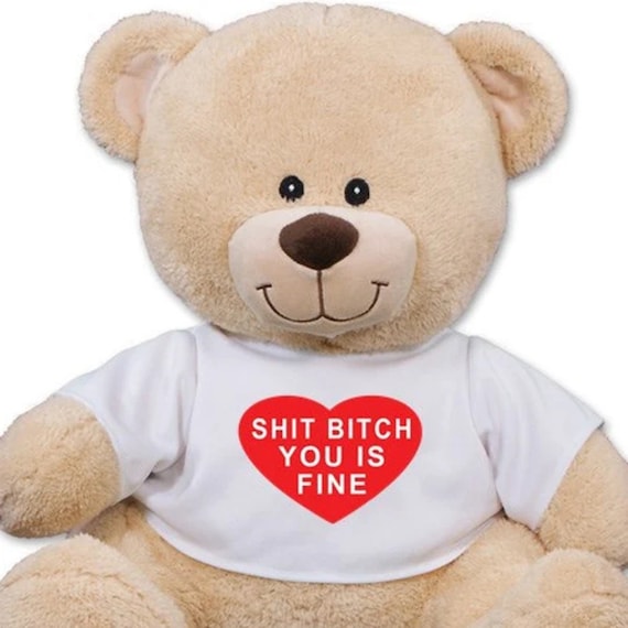 Shit Bitch You is Fine Teddy Bear Funny Valentine s Day Gift for Her Gift for Him Etsy Canada