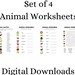 Set of 4 Animal Worksheets for Kids Digital Downloads - Etsy