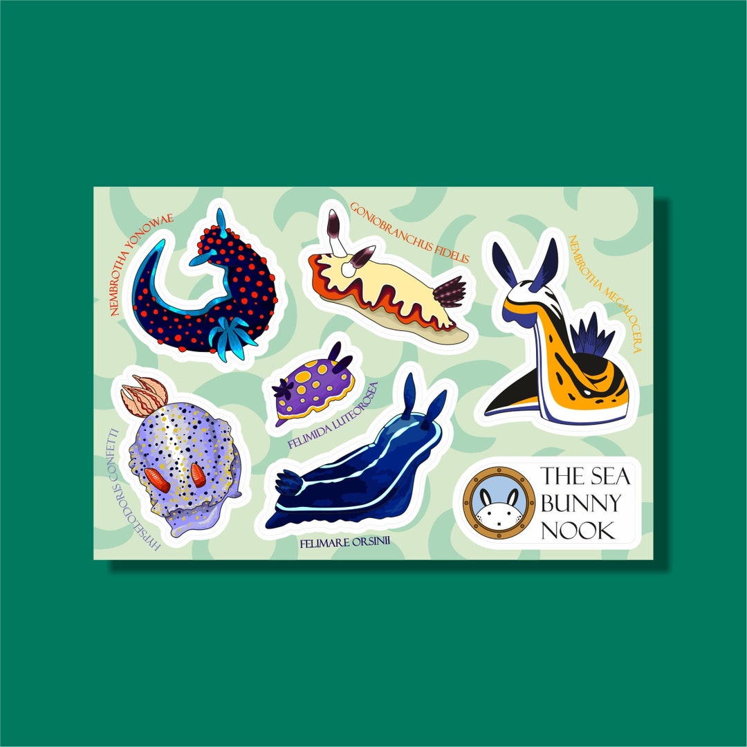 Nudibranch, Sea Slug Vinyl Sticker Sheet | Unique Gift - Etsy