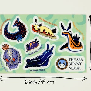 Nudibranch, Sea Slug Vinyl Sticker Sheet | Unique Gift - Etsy