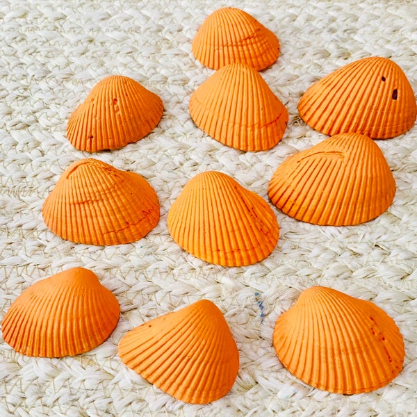 Hand Painted Shells - Etsy