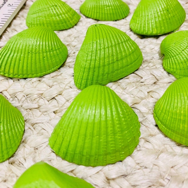 Green Shells - Etsy