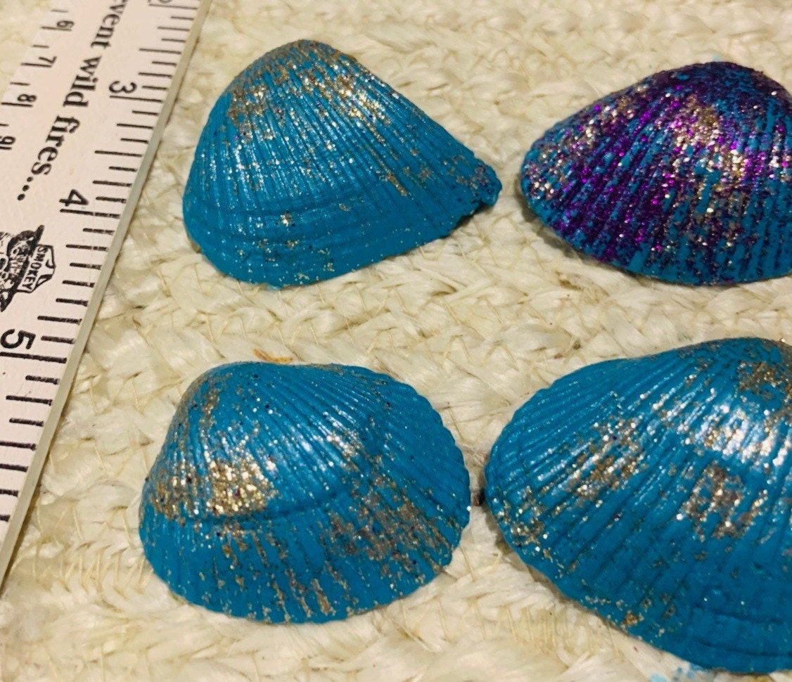 Concha de mar brillante/verde azulado/turquesa/púrpura conjunto de 10 ...