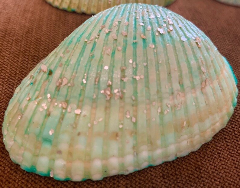 Sea Glass/seashells/lot of 10/hand - Etsy