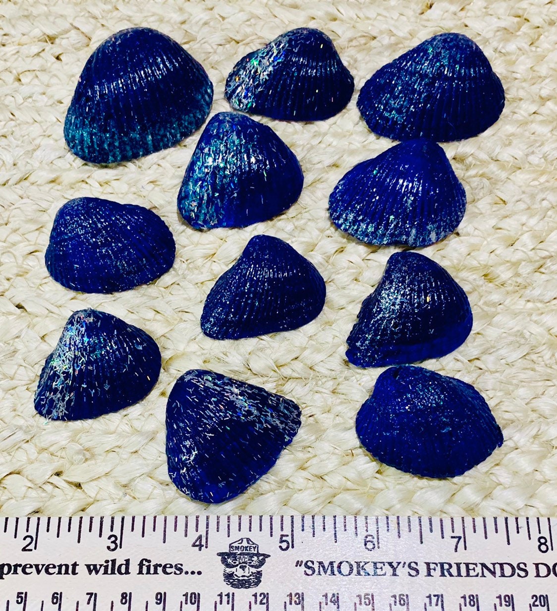 Galaxy Blue/glitter/shimmer/florida Cockle Seashell/set of 10/beach ...