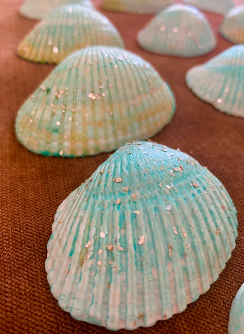 Sea Glass/seashells/lot of 10/hand - Etsy