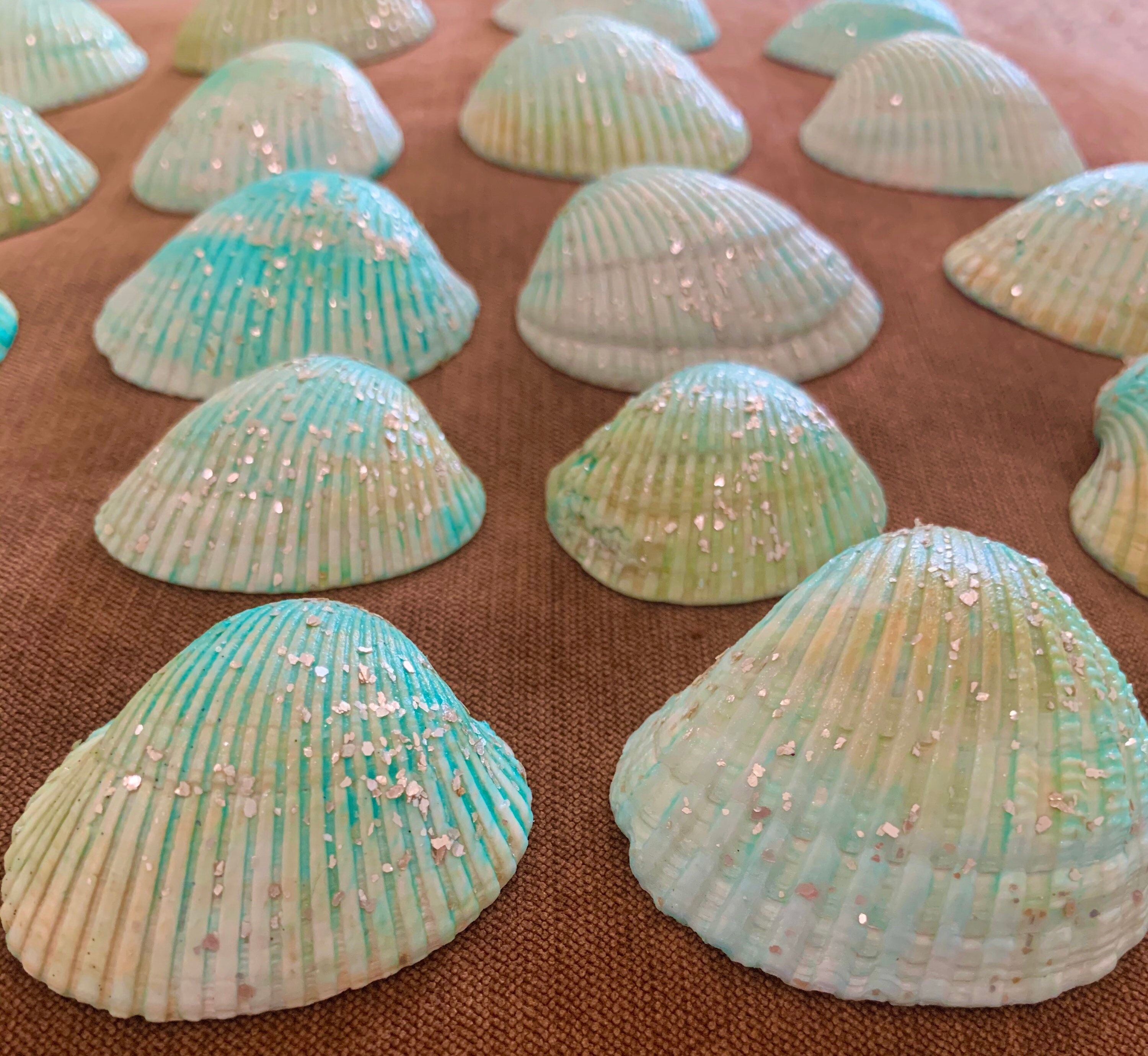 Sea Glass/seashells/lot of 10/hand - Etsy