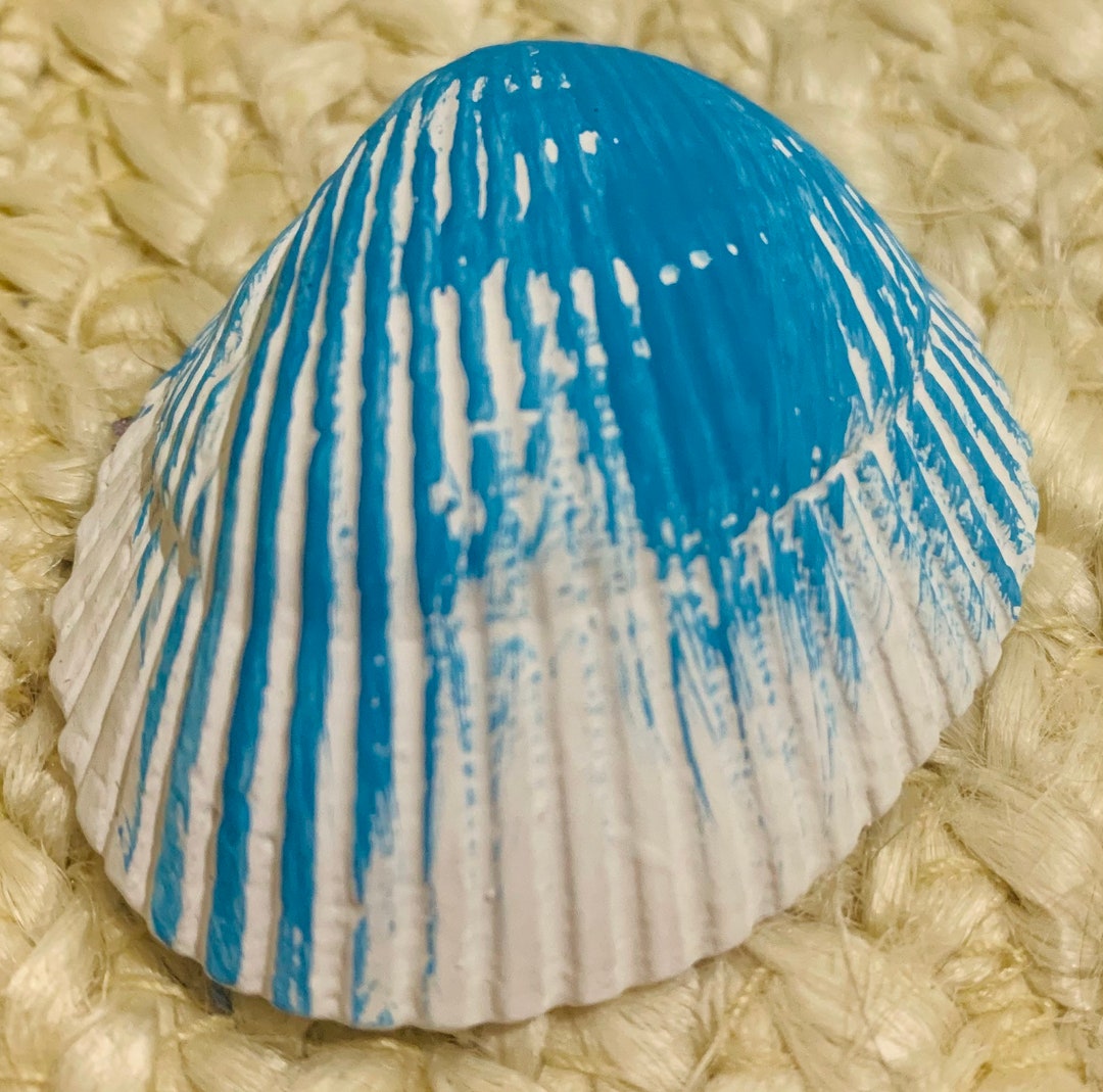 Conchas marinas pintadas a mano de azul y blanco / conjunto de 10 ...