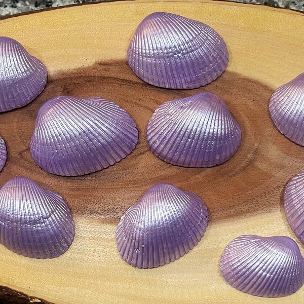 Natural Sea Shells - Etsy