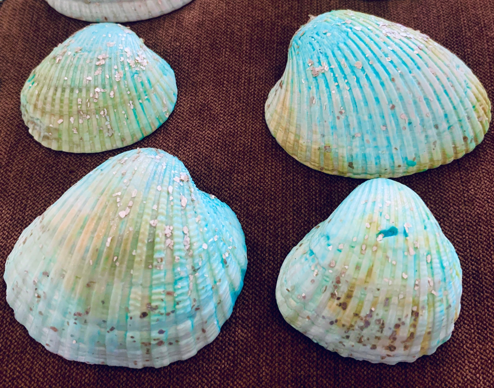 Sea Glass/seashells/lot of 10/hand - Etsy