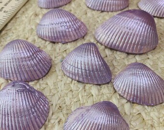 Shell Beach Wedding - Etsy