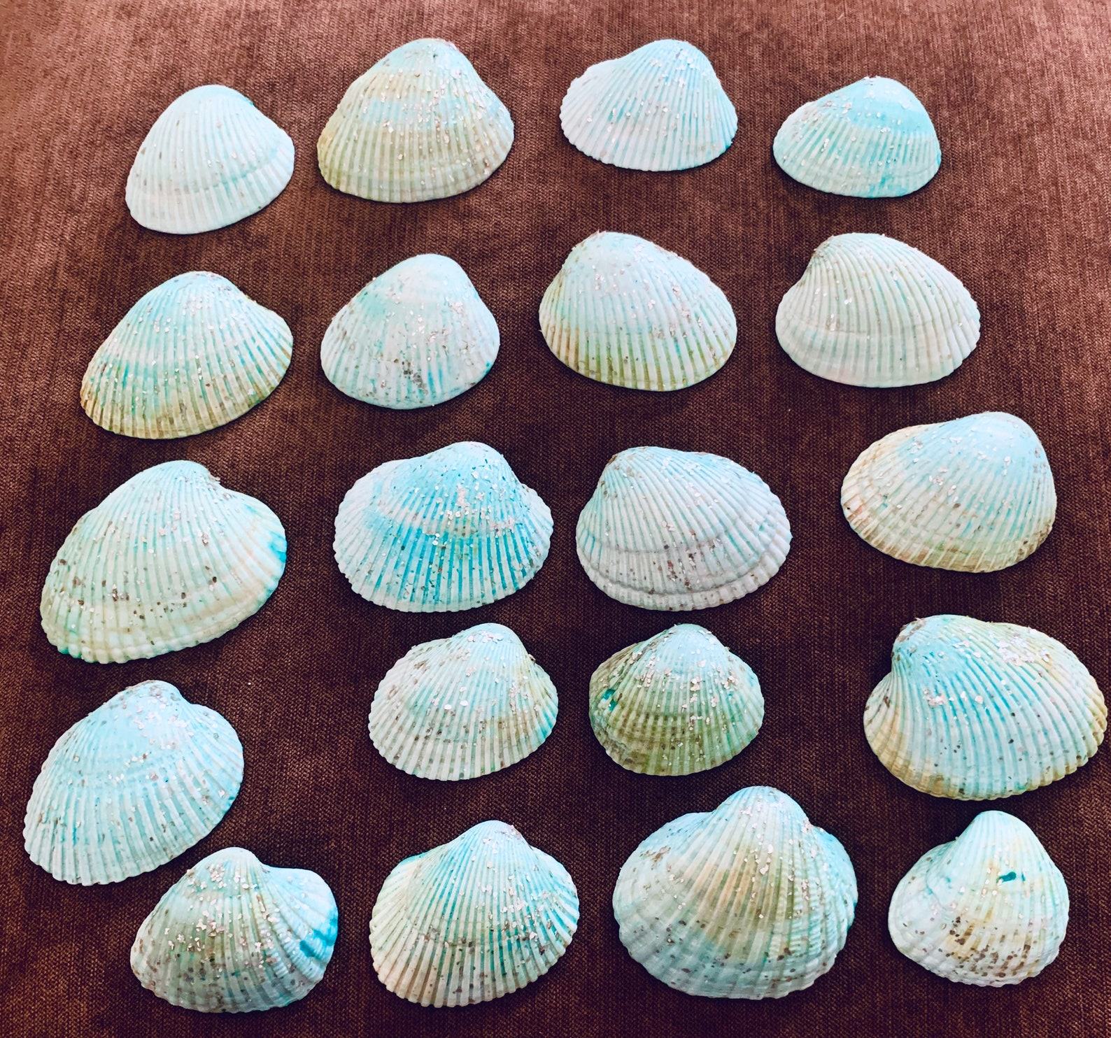 Sea Glass/seashells/lot of 10/hand - Etsy