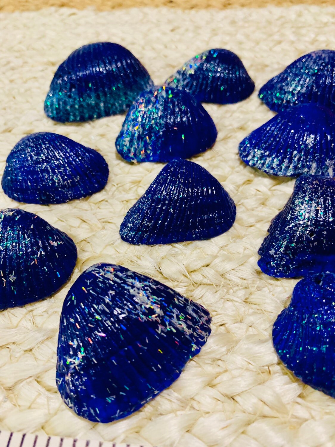 Galaxy Blue/glitter/shimmer/florida Cockle Seashell/set of 10/beach ...