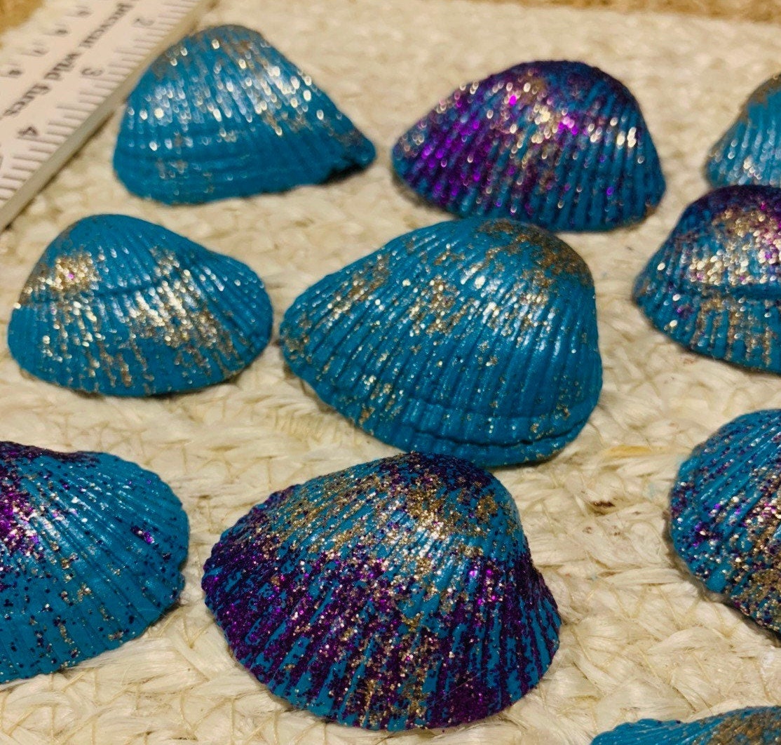 Concha de mar brillante / azul / turquesa / púrpura de 10 / | Etsy