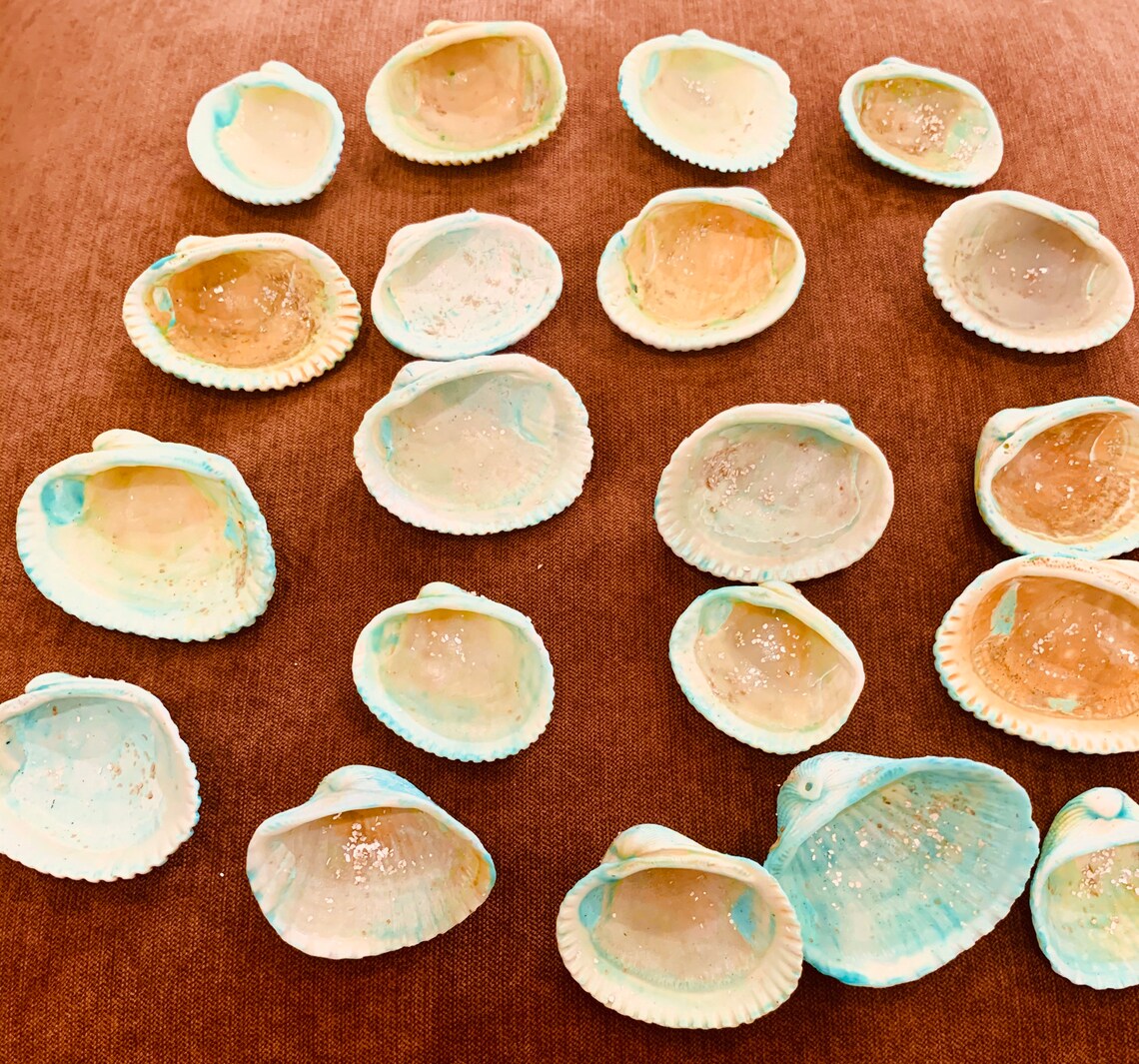 Sea Glass/seashells/lot of 10/hand - Etsy