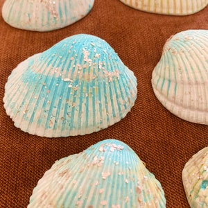 Sea Glass/seashells/lot of 10/hand - Etsy