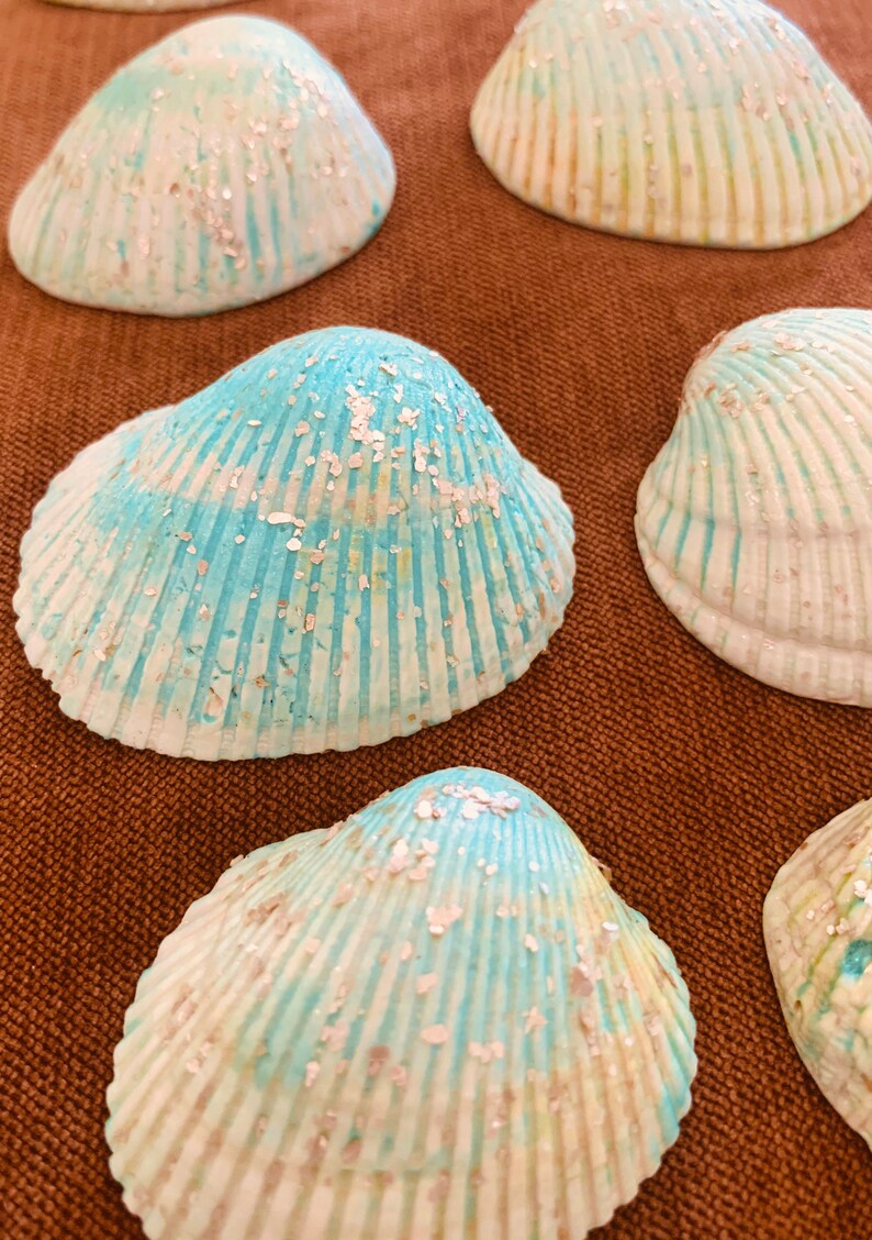 Sea Glass/seashells/lot of 10/hand - Etsy