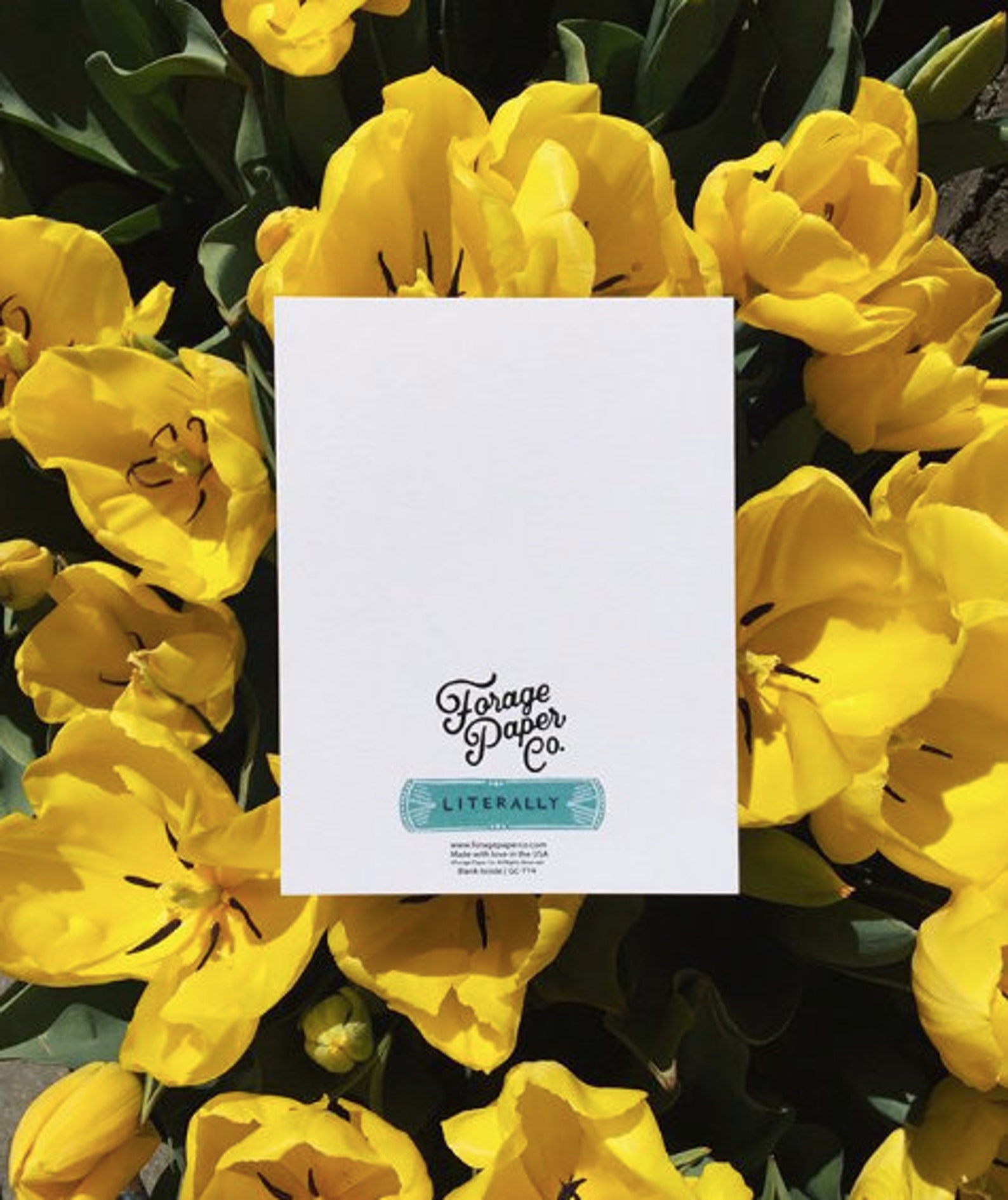 Thank You Book Lover Card Youre the Best Greeting Card - Etsy