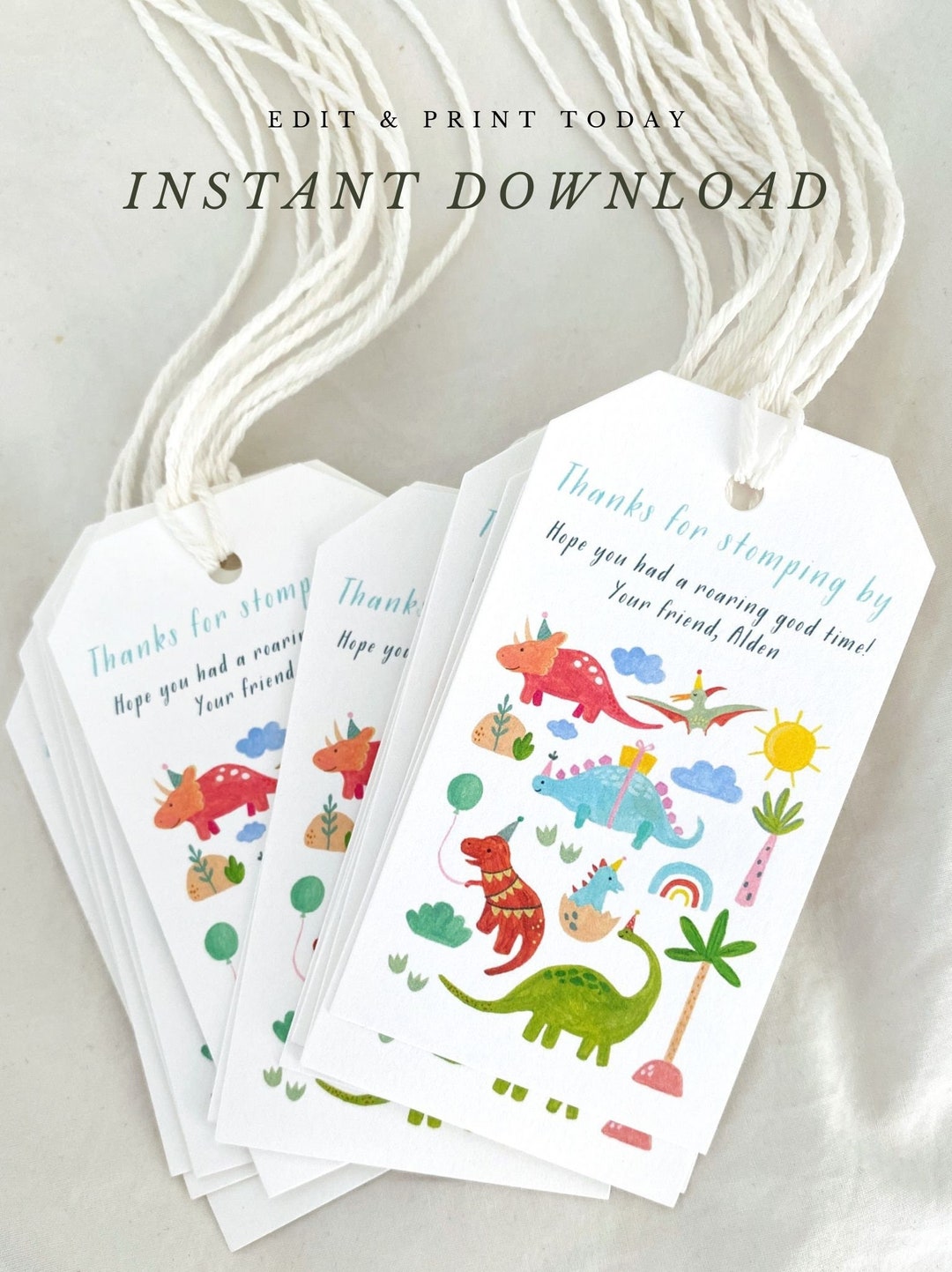 Kid's Dinosaur Party Gift Tags, Instant Download, Digital Downloadable ...