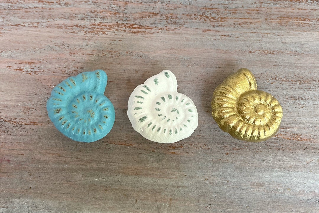 Custom Painted Cast Iron Seashell Drawer Pull - Coastal Drawer Knob ...