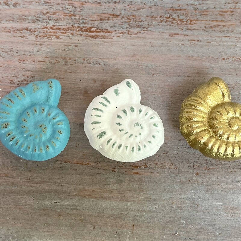 Seashell Knobs - Etsy