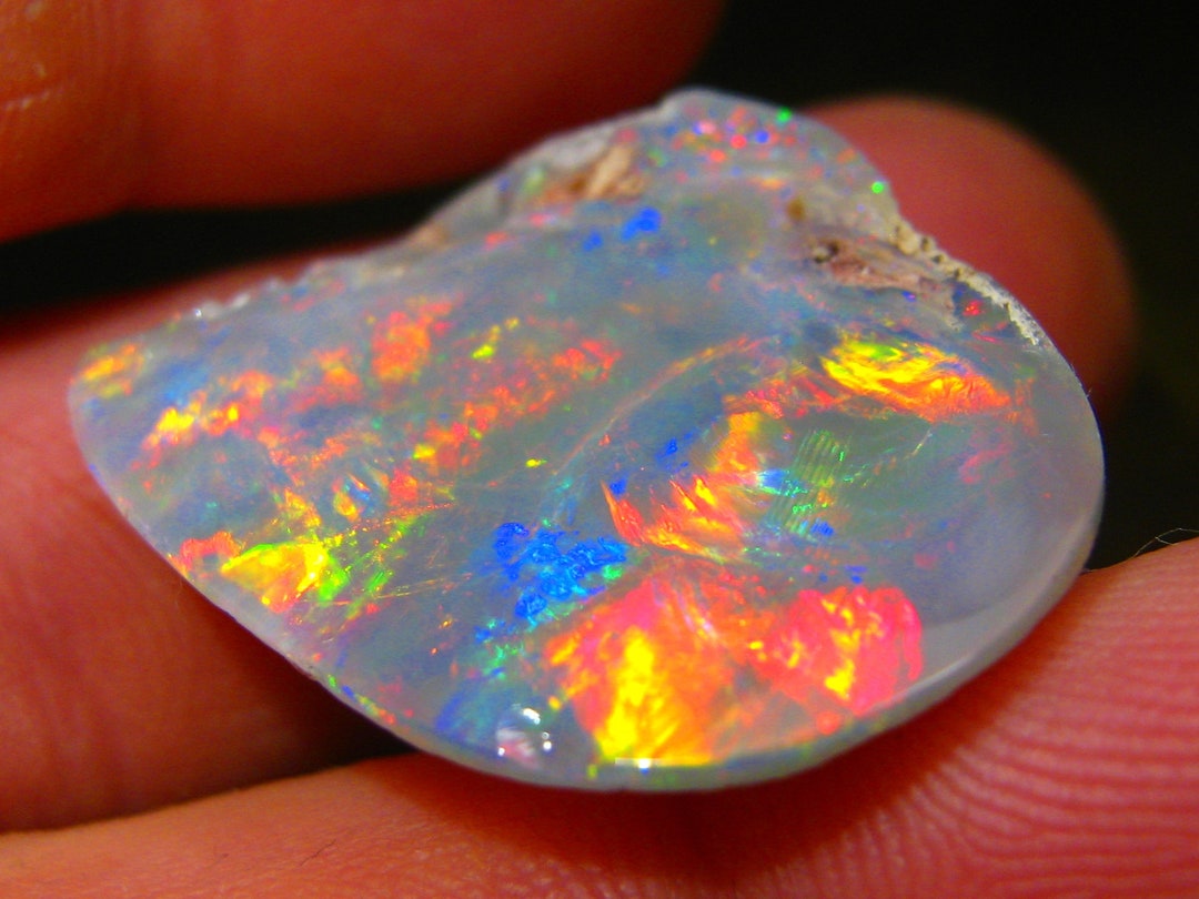 32cts Super Gem Solid Semi Black Australian Opal Opalised Shell ...