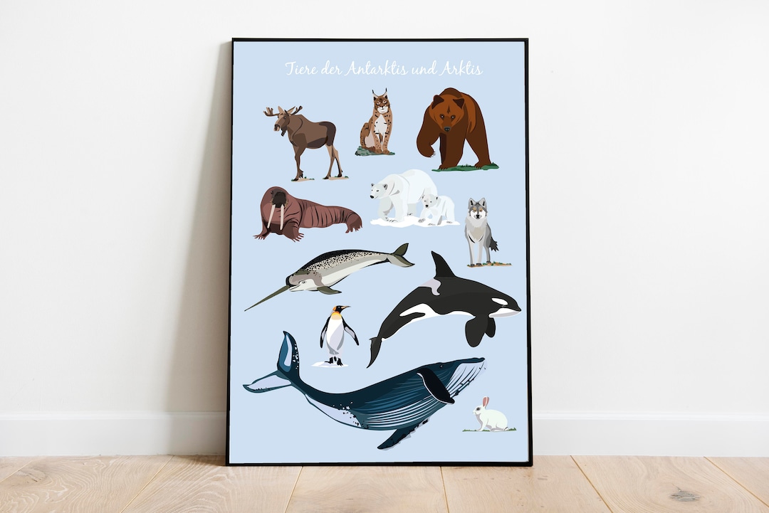 Kinderposter - Kinderzimmer Poster Tiere der Arktis und Antarktis - Etsy.de