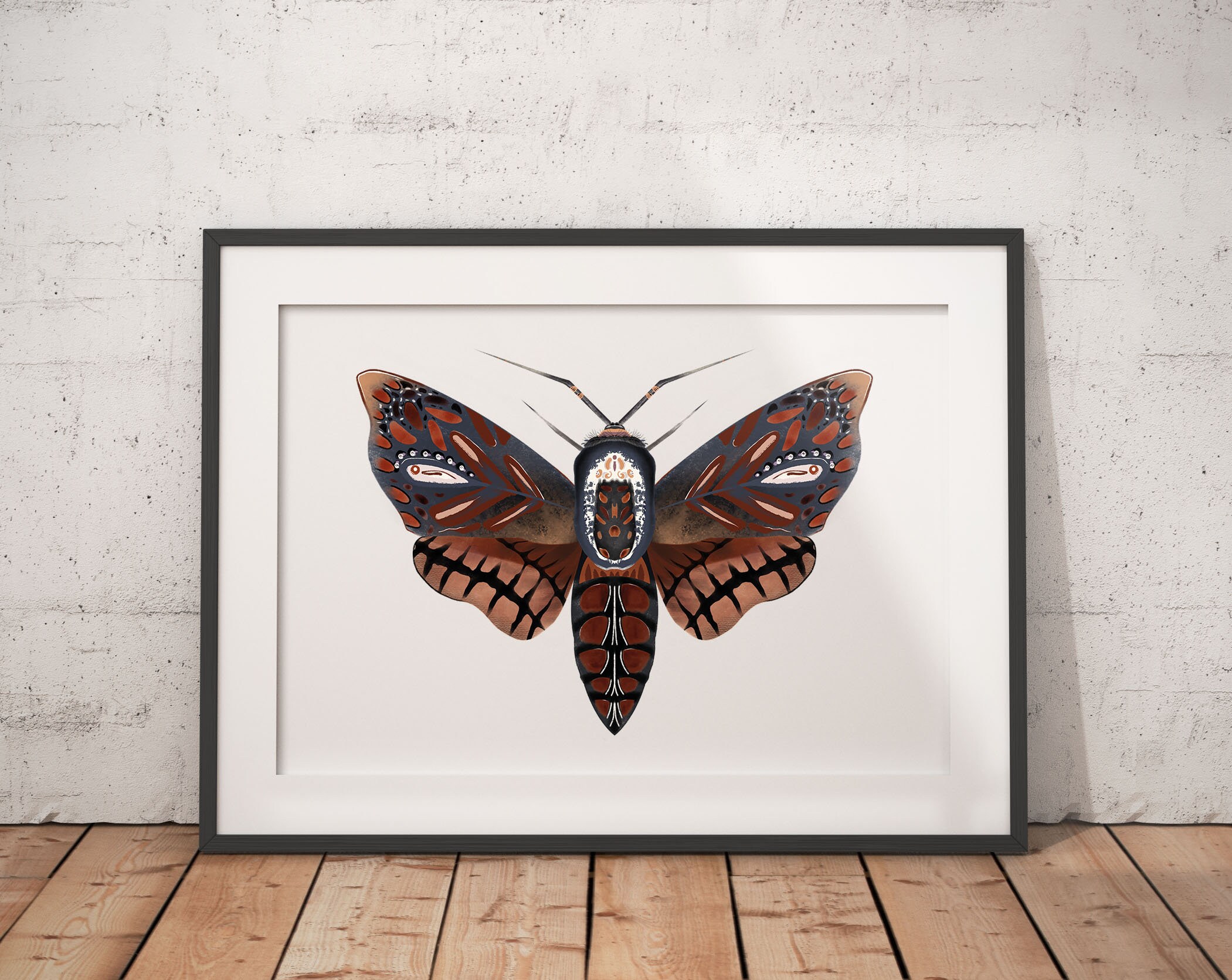 Art Print Illustration Poster Moth Insect Nature - Etsy