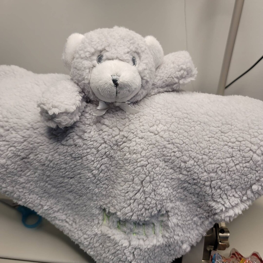 Remi Grey Teddy Bear Plush / Animal With Name Remi / Discounted Item ...