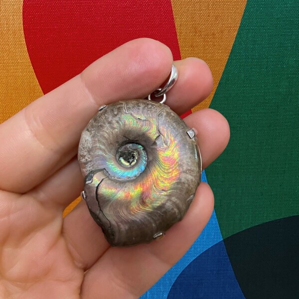 Ammonite Pendant - Etsy