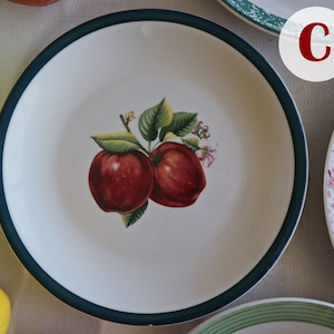 MISMATCHED DINNER PLATES - Apple Pattern - Red Delicious Apples ...