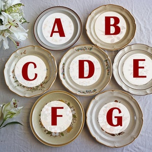 STONEWARE DINNER PLATES - Vintage Retro - Mismatched Floral Patterns ...