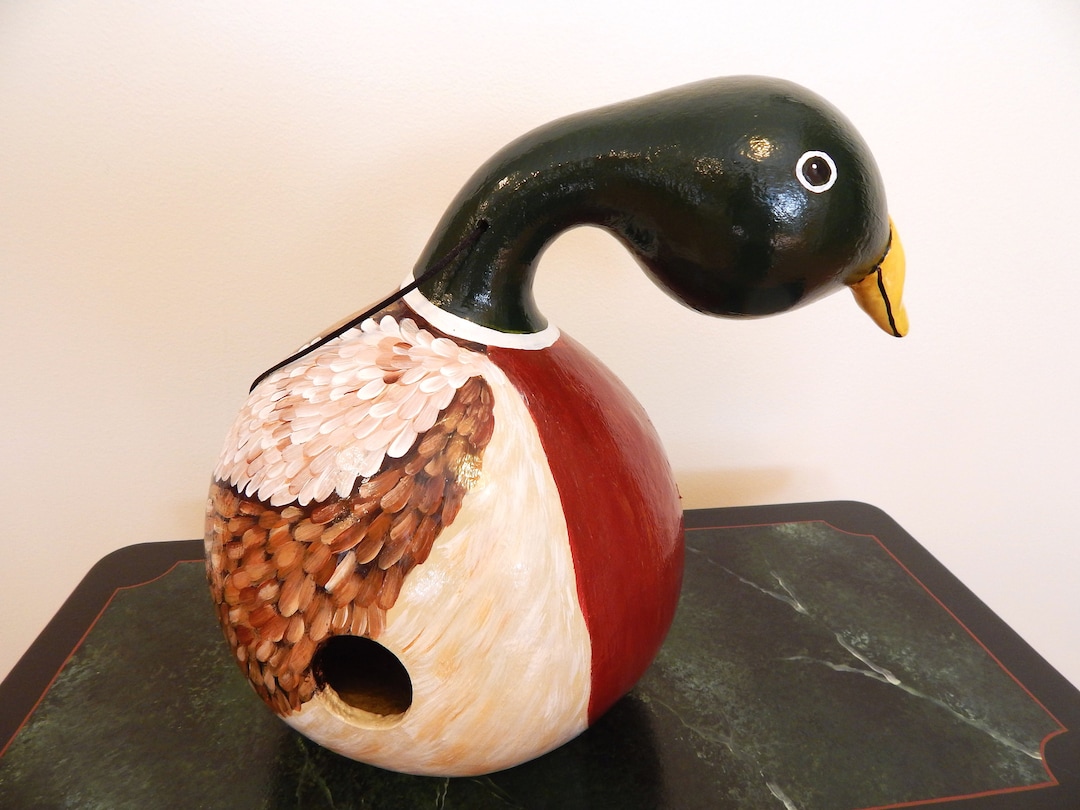 Birdhouse. Gourd Birdhouse. Painted Gourd. Mallard Duck. Swan Gourd ...