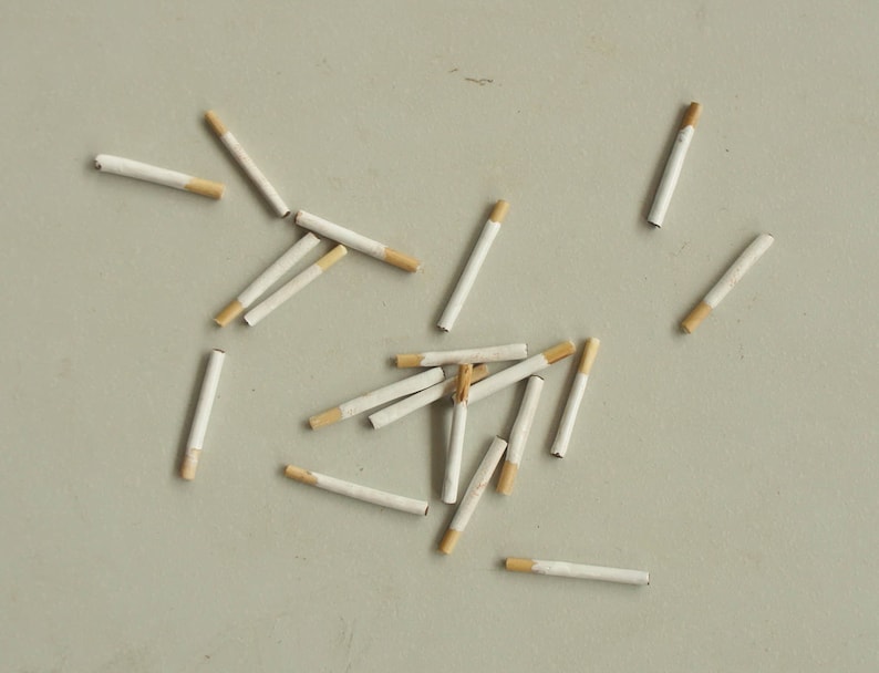1/6 Scale Miniature Model Cigarettes (2 Pcs) - Etsy Australia