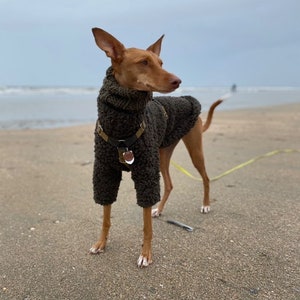 Khaki Green Soft Fluffy Fleece Jumper Pyjamas 5 Sizes Italian Greyhound ...