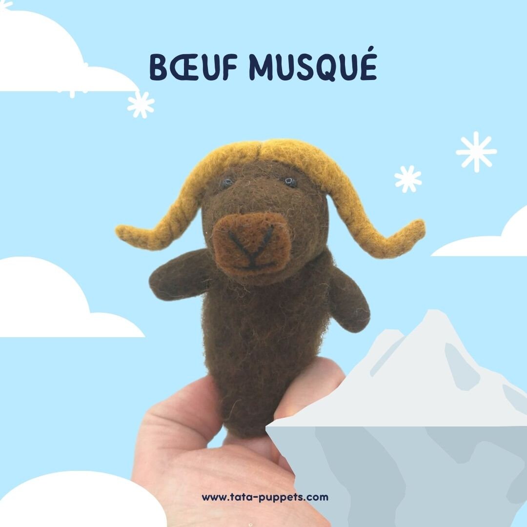 Felted Wool Finger Puppet Musk Oxen. - Etsy